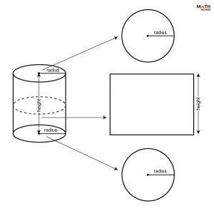 Cylinder - Definition, Properties, Types, Formulas, & Examples