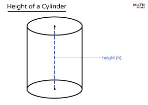 Height of a Cylinder - Definition, Formula, & Examples