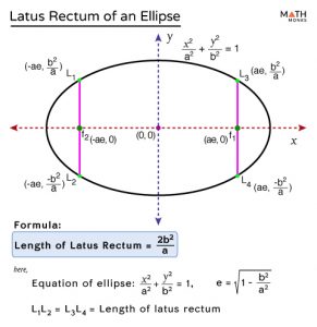Latus Rectum - Formulas, Examples and Diagrams