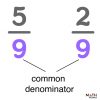 Denominator – Definition, Examples, and Diagrams