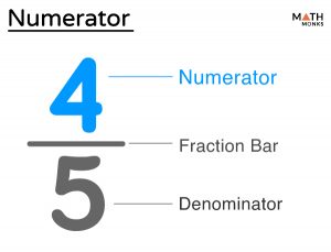 Numerator – Definition, Example, and Diagram