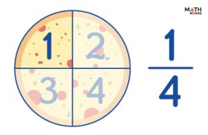 Proper Fraction - Definition, Examples, and Diagrams