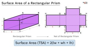 Surface Area of a Rectangular Prism - Formulas, Examples, & Diagrams