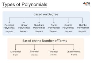 Classifying Polynomials With Examples